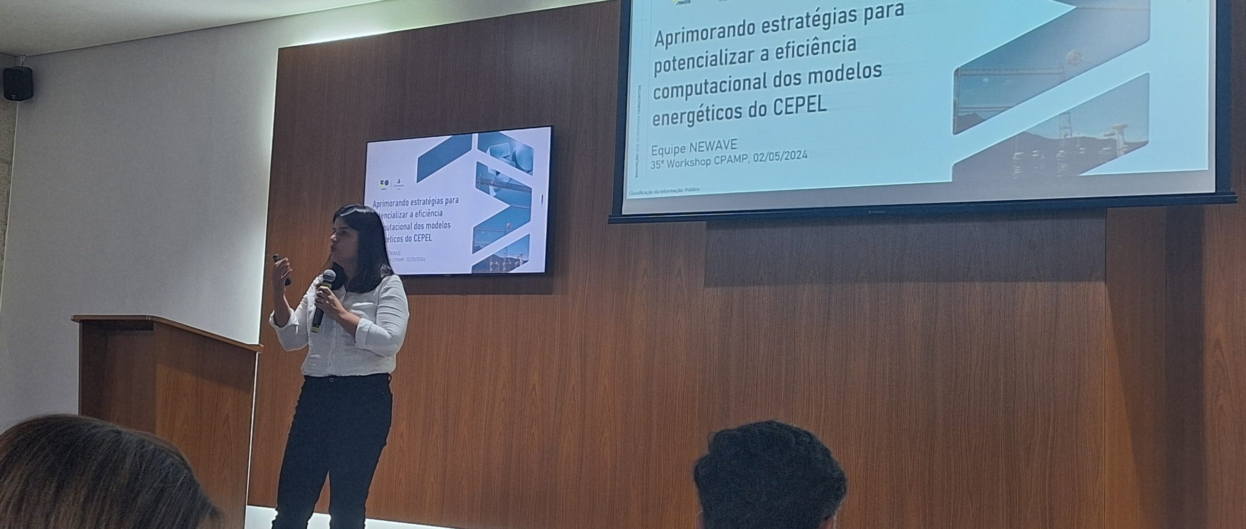 Cepel apresenta atualizações do NEWAVE em Workshop da CPAMP